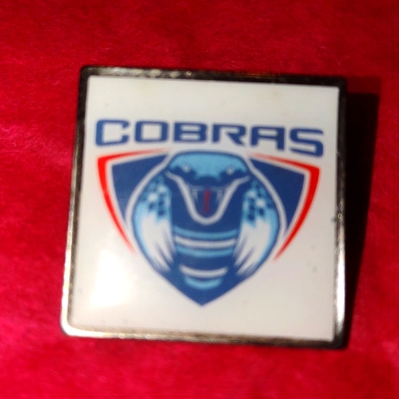 Vintage | Accessories | Vintage Cobra Pin | Poshmark